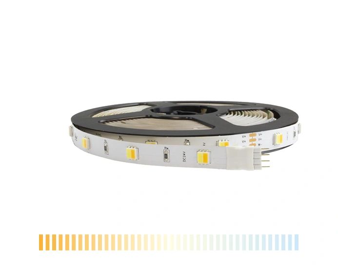 Dual White LED Streifen mit einstellbaren weißen LEDs von 2700K - 5500K